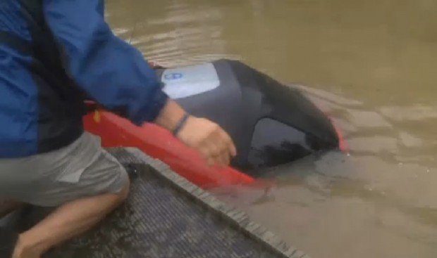 Dramatic water rescue in Baton Rouge 02 - KohSantepheap.TV